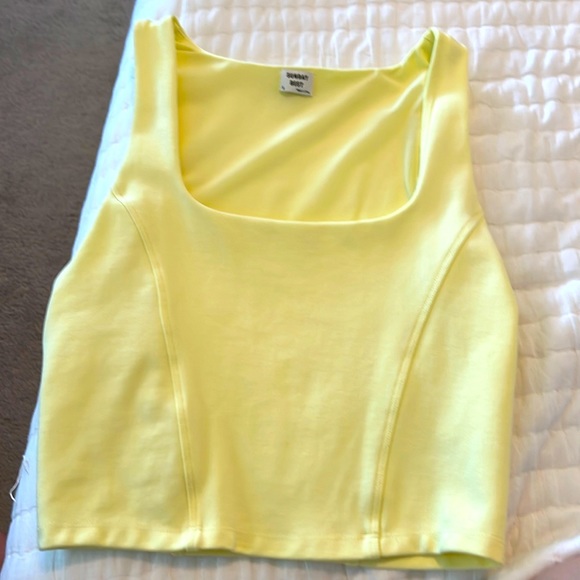 Sunday Best | Tops | Aritzia Sunday Best Corset Top | Poshmark